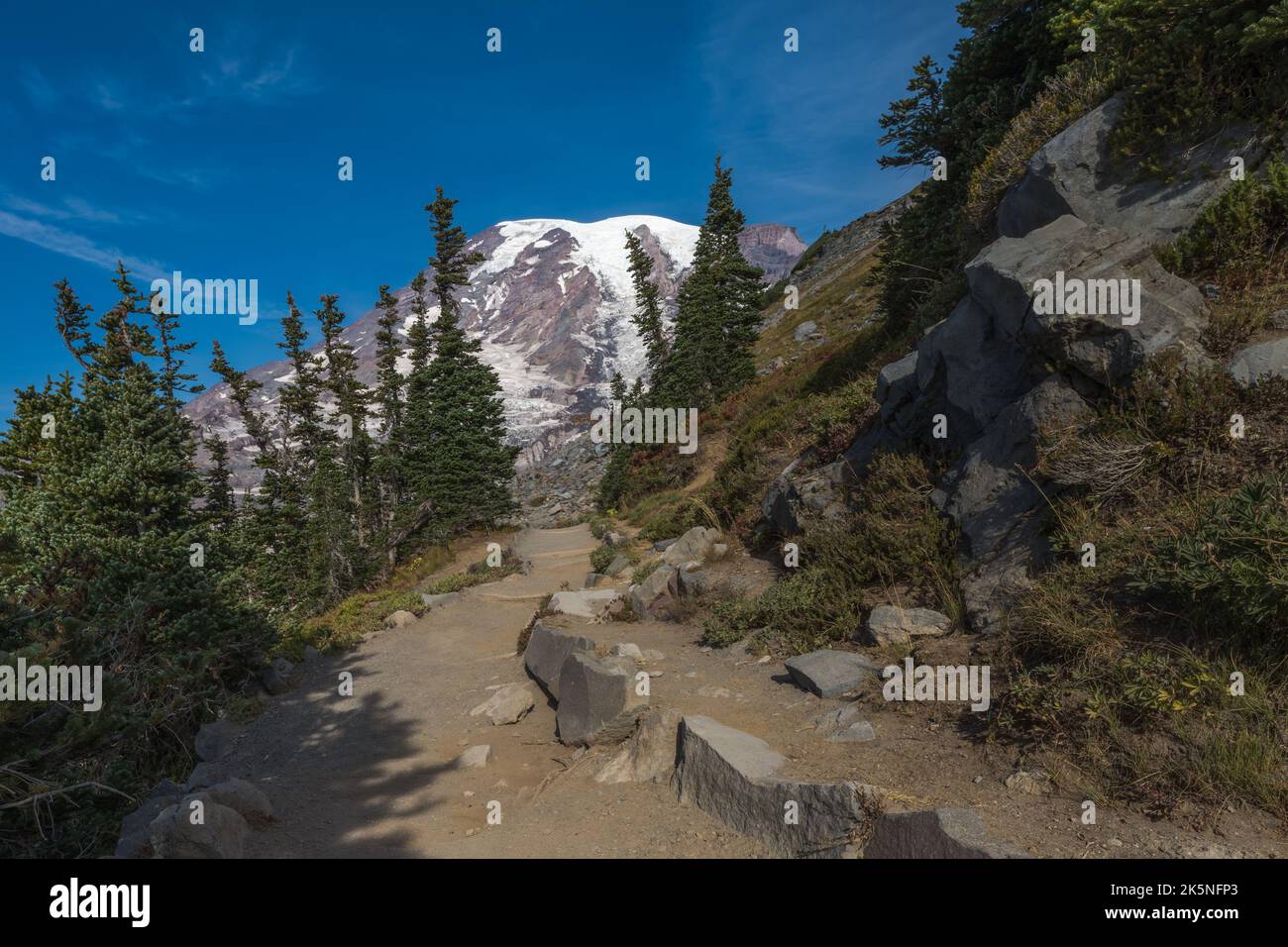 View of Mt Rainier Stock Photo - Alamy