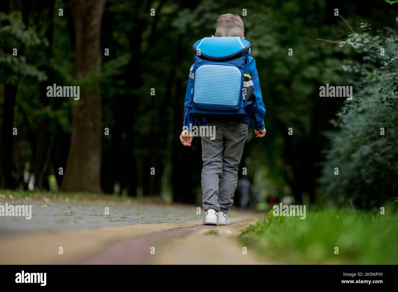 Little boy with backpack going to school. Rear view. First grader Stock ...