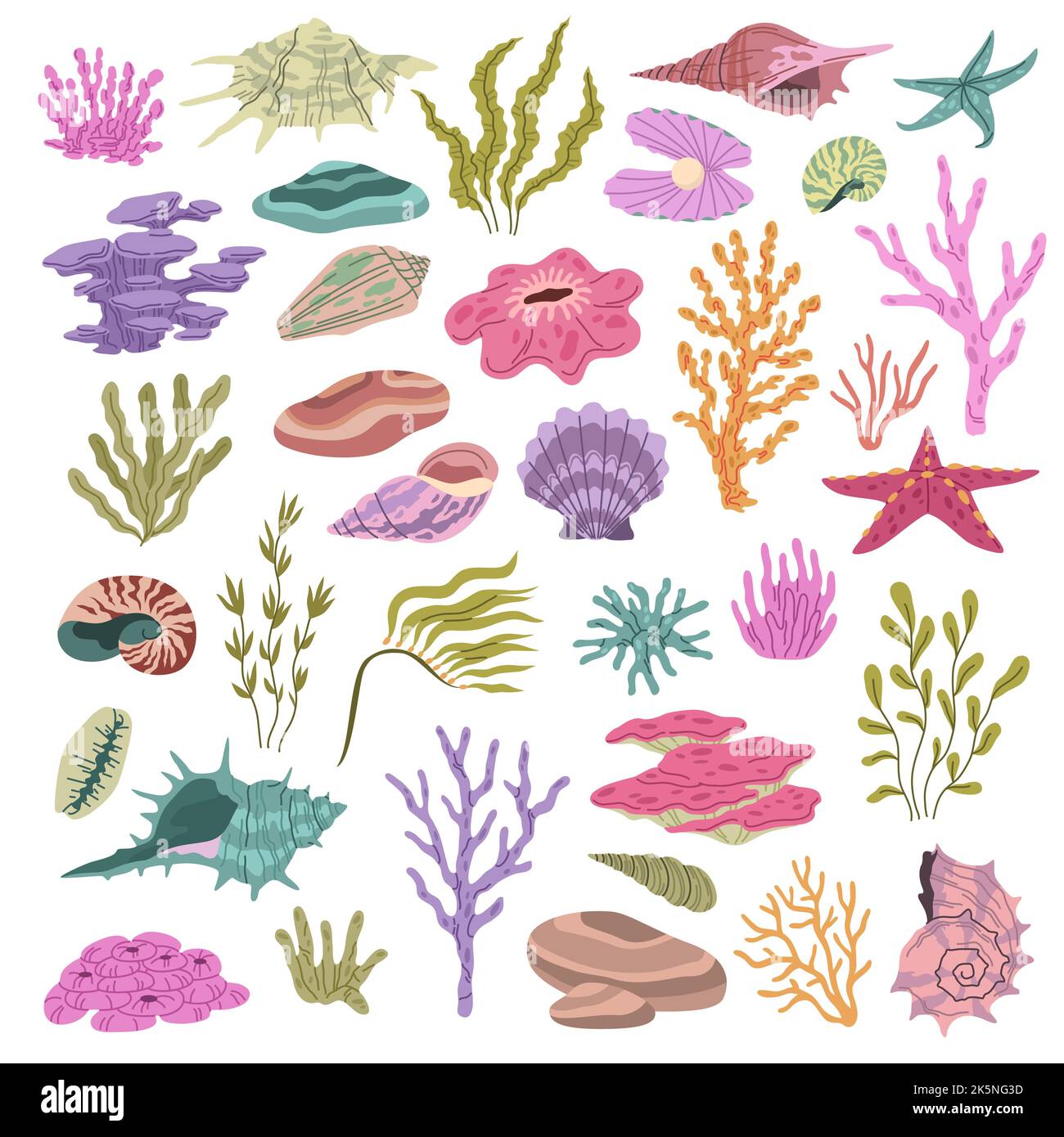 Hawaii coral reefs Stock Vector Images - Alamy