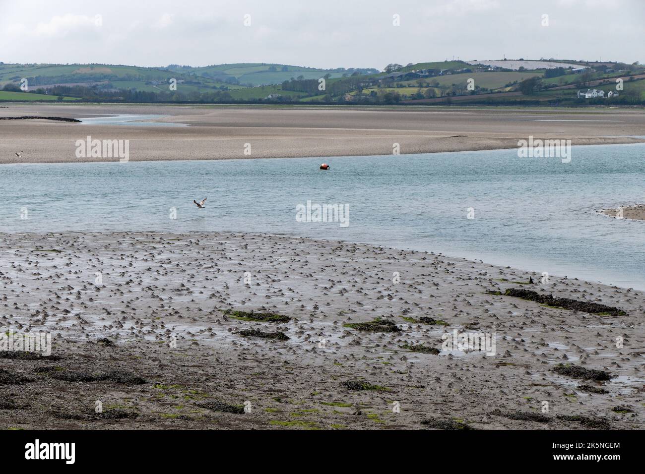 Silt on the seabed. The shallow sea. Seaside landscape Stock Photo - Alamy