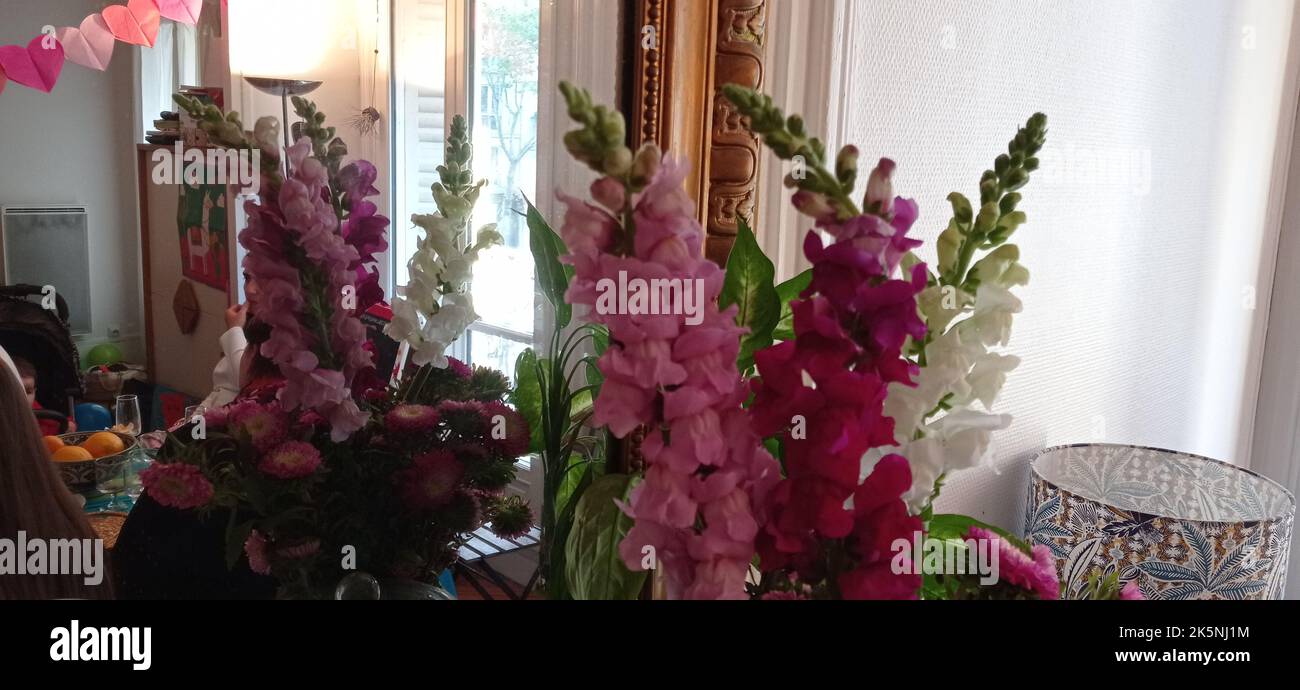 Composition de fleurs hi-res stock photography and images - Alamy
