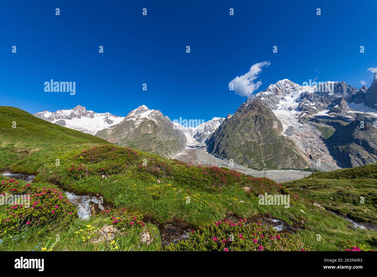 The beautiful Alps of the group of Monte Bianco Stock Photo - Alamy