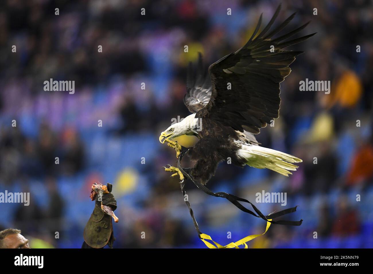 ARNHEM, 09-10-2022, GelreDome, football, Dutch Eredivisie, season 2022 ...