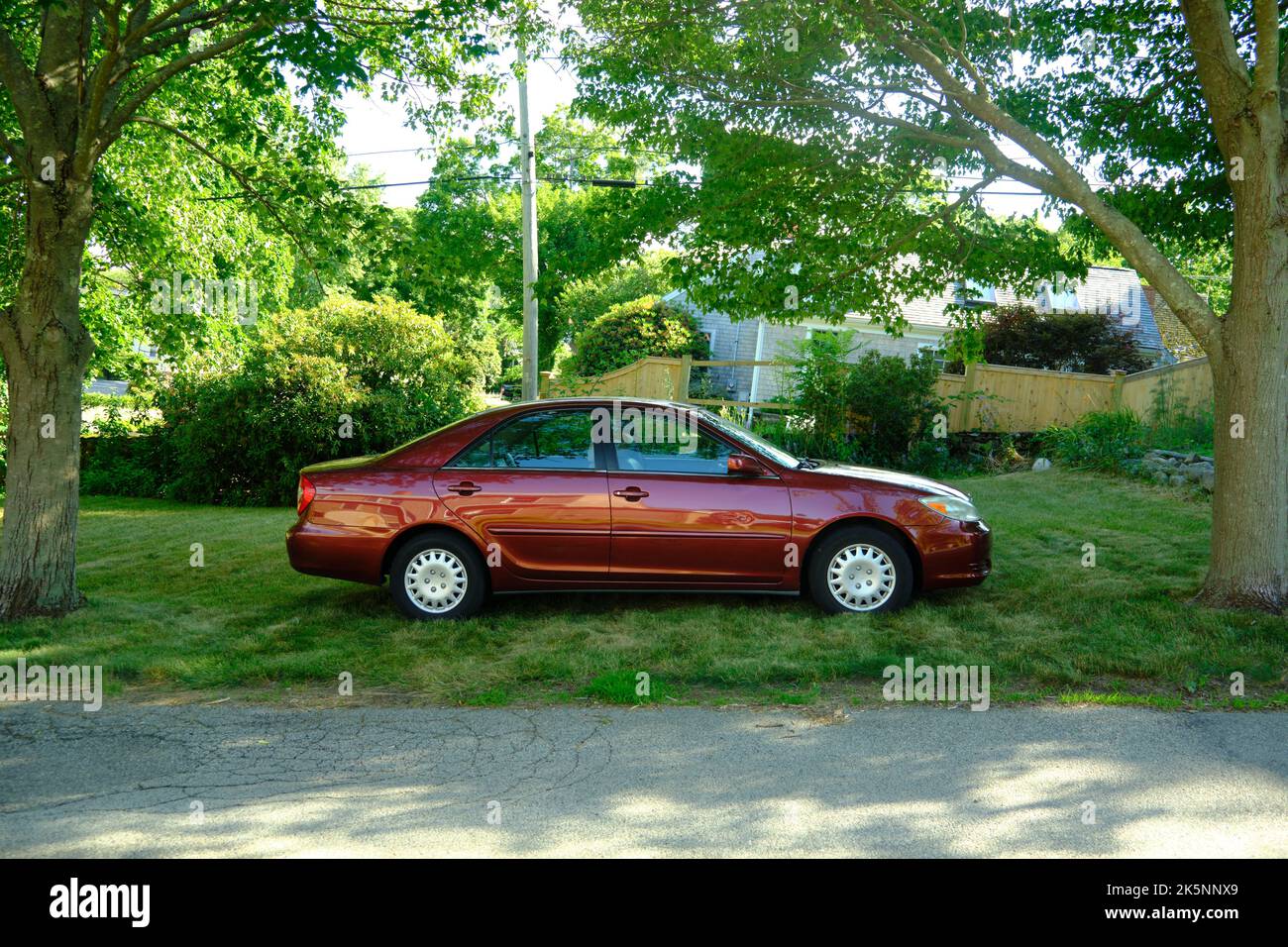 A view of a red car parked on grass in a garden with trees Stock Photo ...