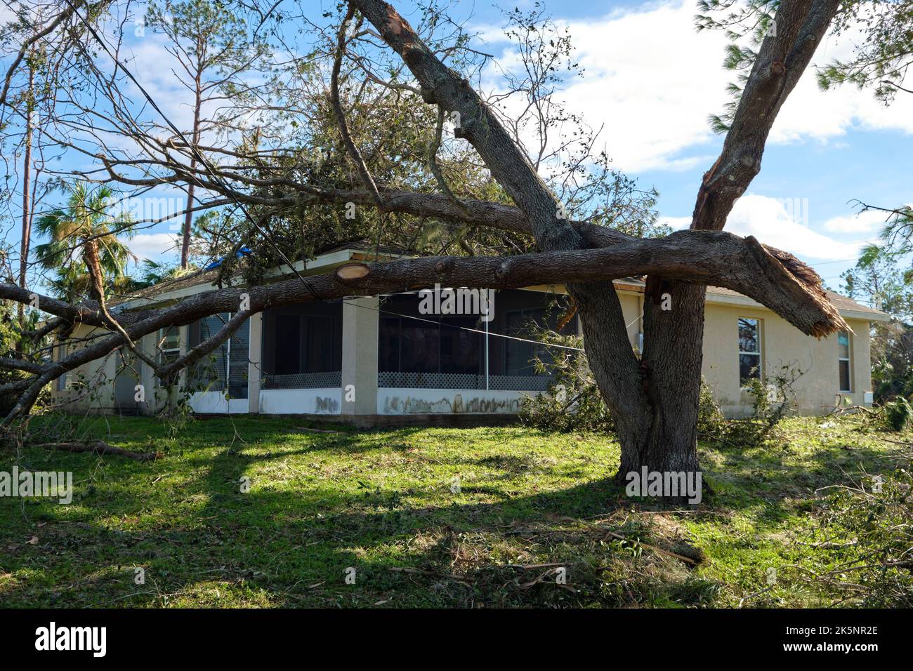 Fallen down big tree on a house after hurricane Ian in Florida ...