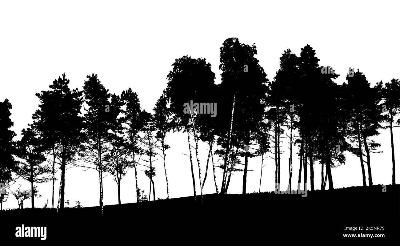 Coniferous and deciduous tree garden Stock Vector Images - Alamy