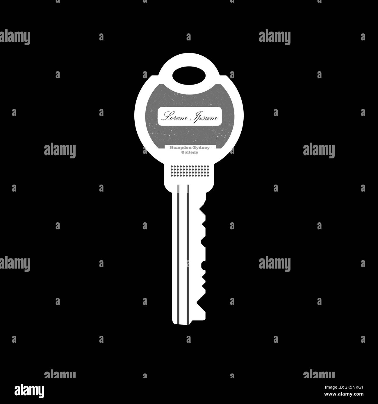 key icon on black background. sign design illustration Stock Photo - Alamy
