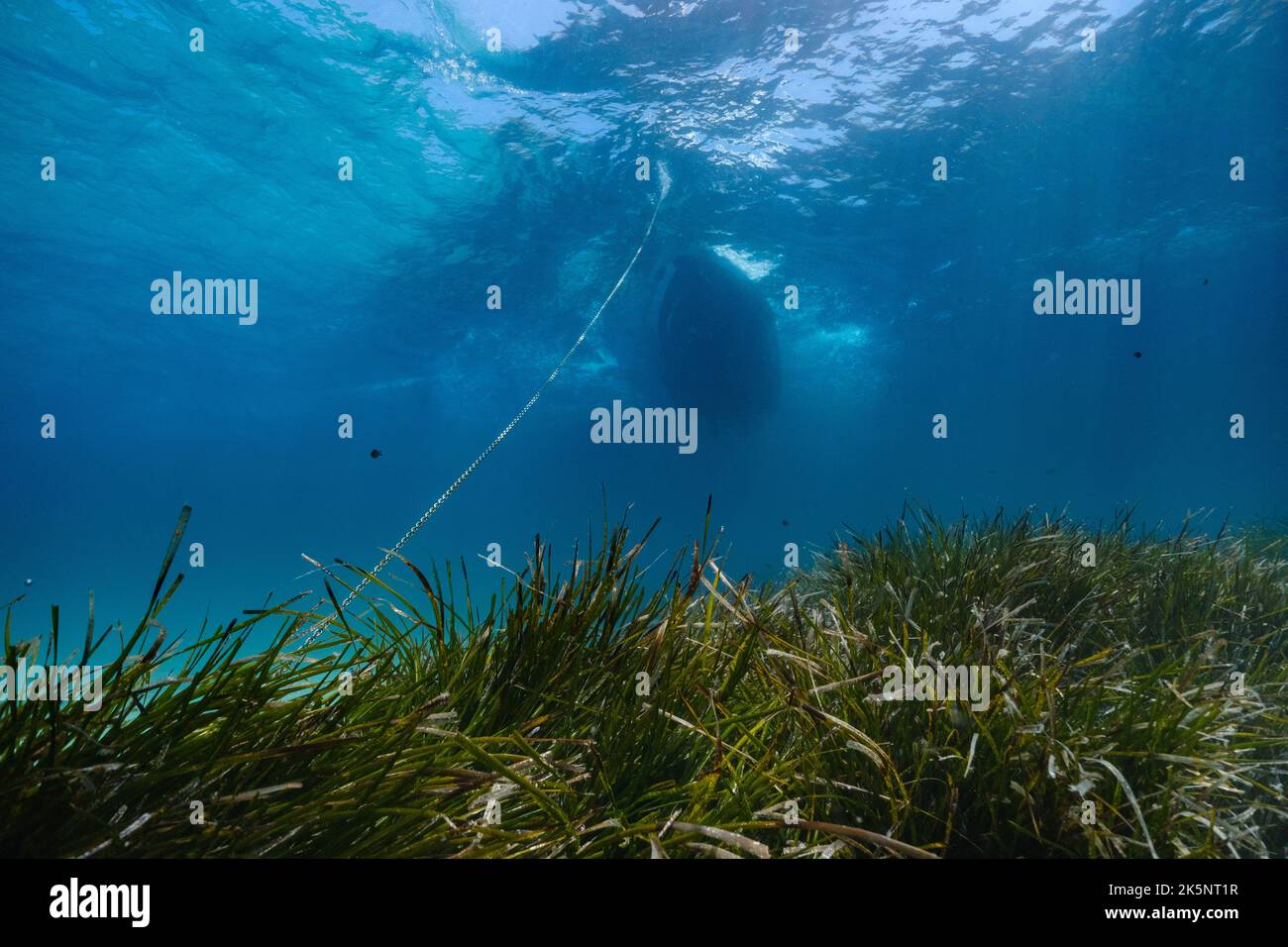 Deep sea transport hi-res stock photography and images - Alamy