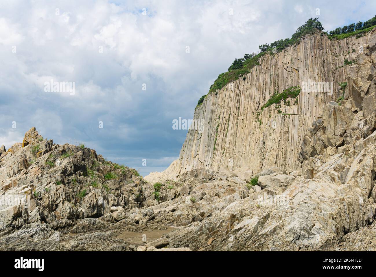 high coastal cliff formed by solidified lava stone columns, Cape ...