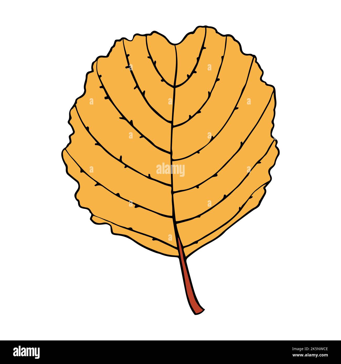 Isolated vector illustration of alder leaf in cartoon style. Colorful ...