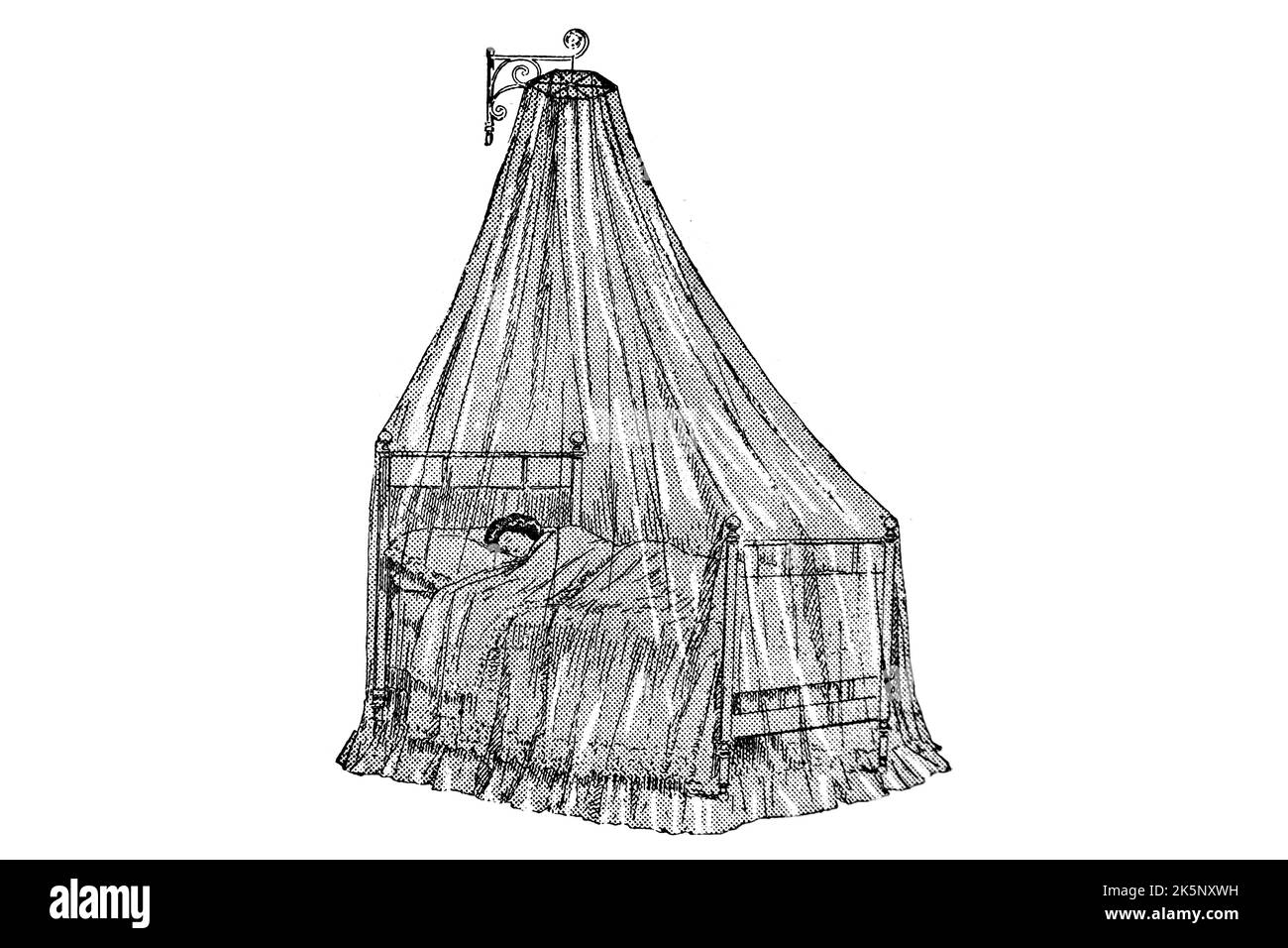 Bug Net Clipart Black And White