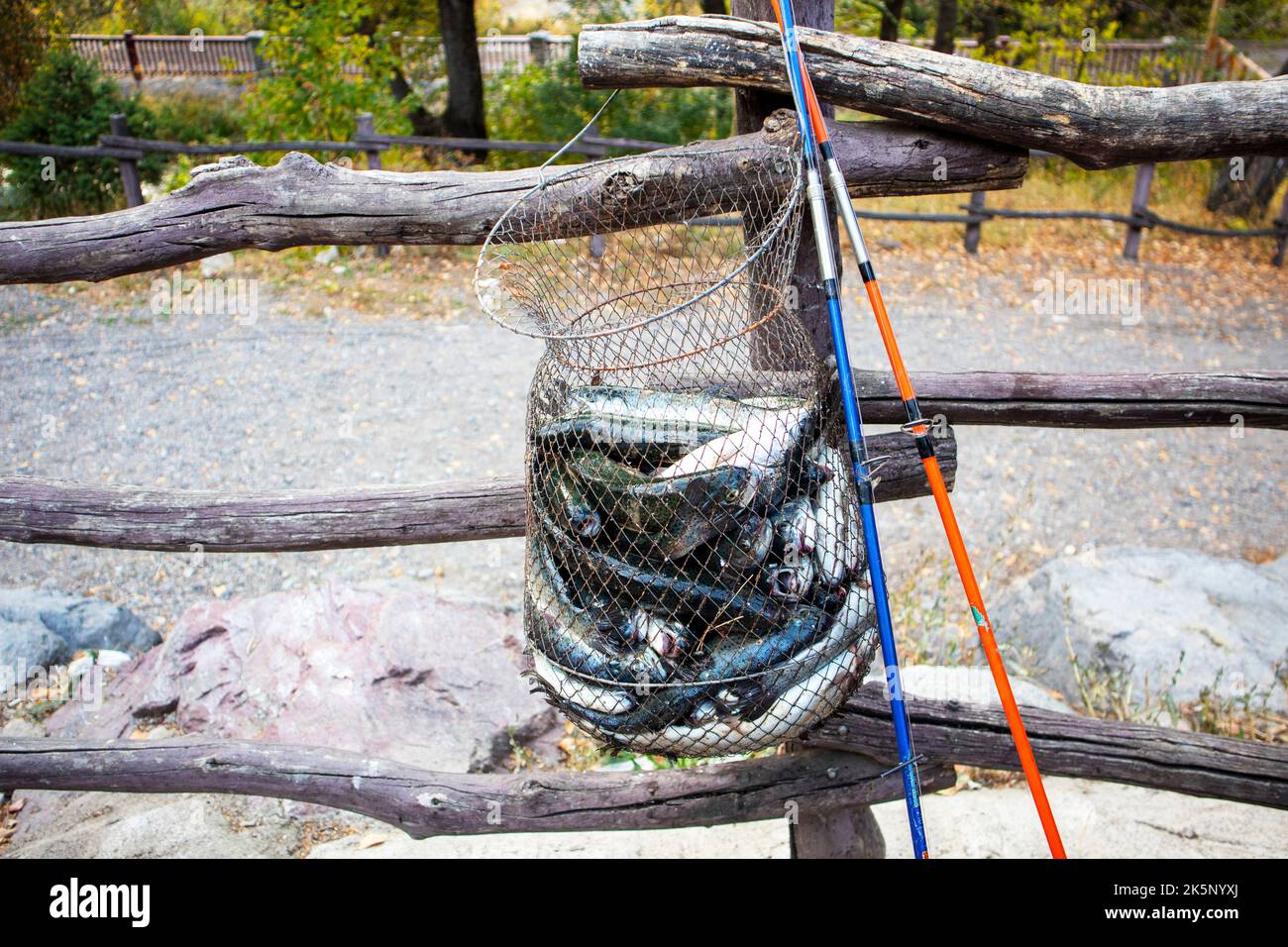 Fishing dish hi-res stock photography and images - Alamy