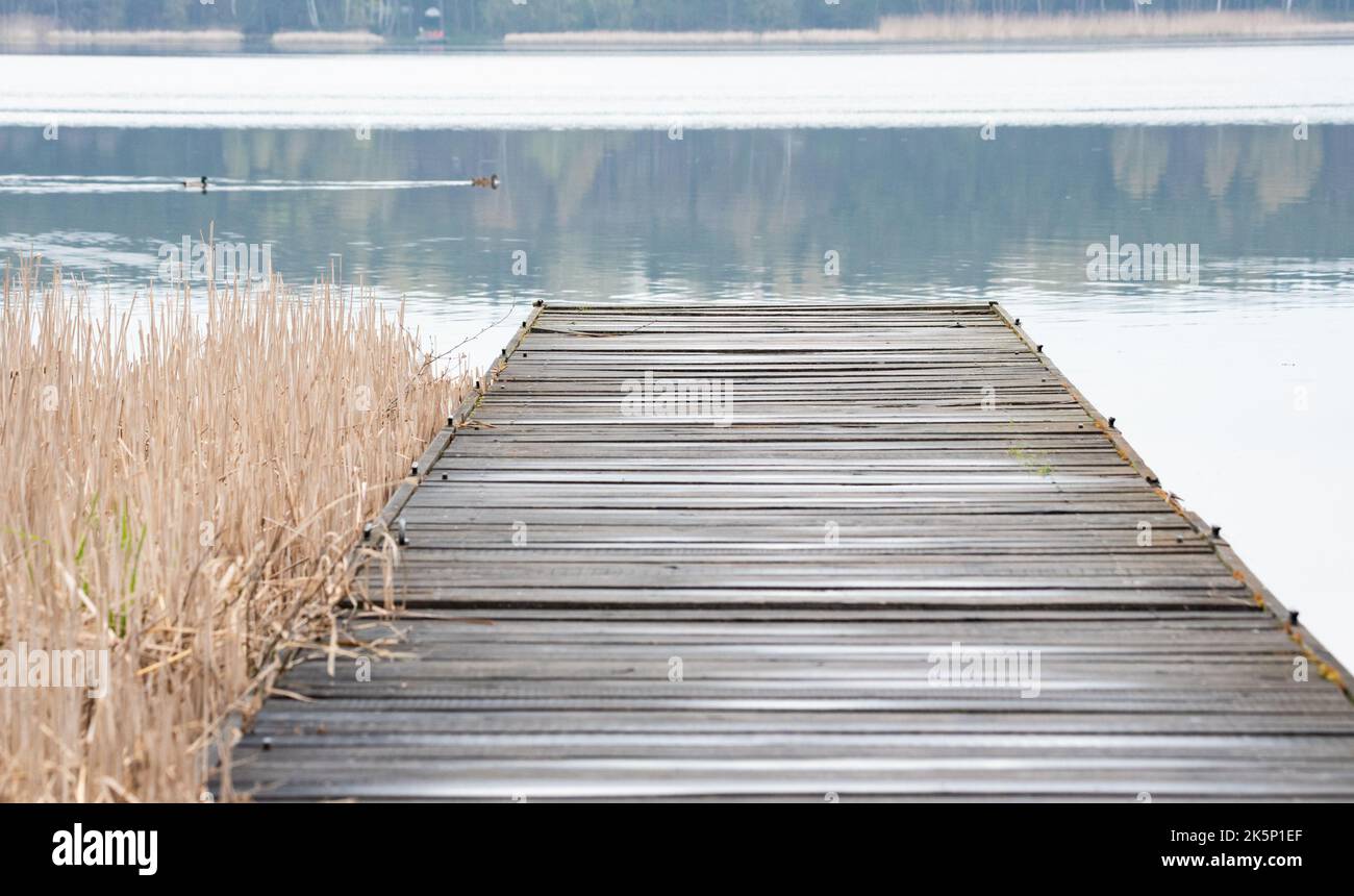 Wooden pier over the river. A cloudy spring day. Background with a deck ...
