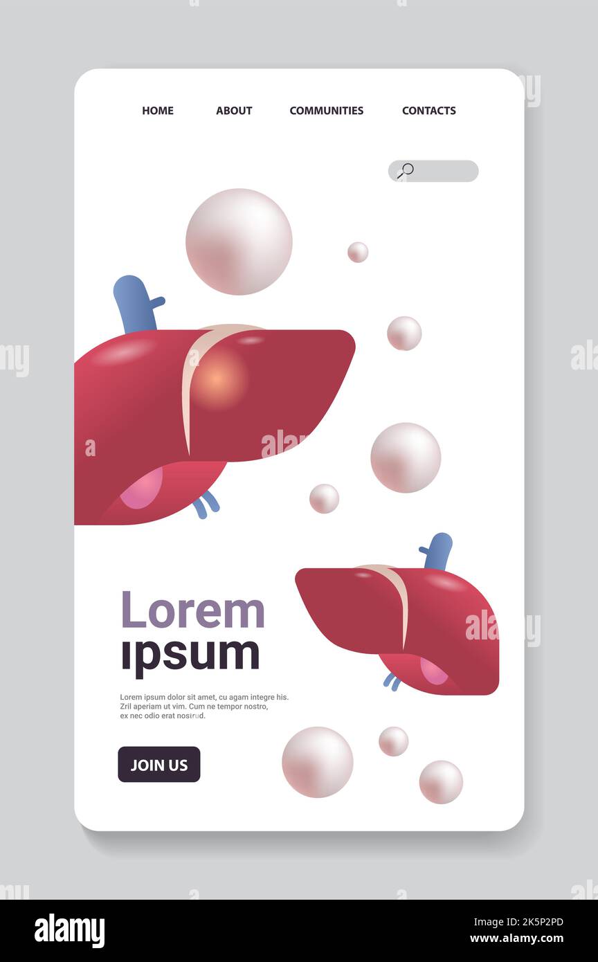 anatomical liver icon human body internal organ anatomy medicine ...