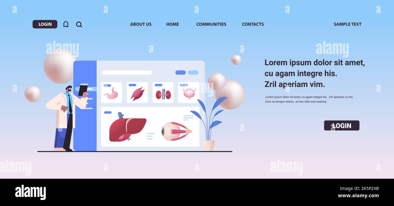 scientist examining anatomical human body internal organs on digital ...