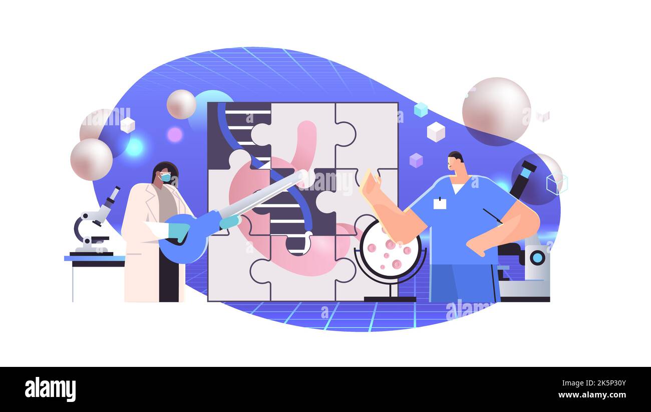 Internal organ puzzle hi-res stock photography and images - Alamy