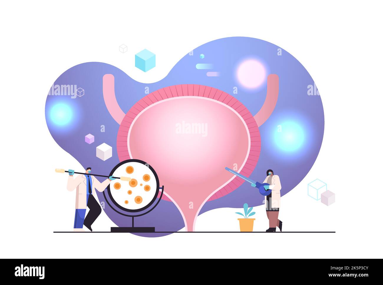 researchers making experiments with urinary bladder anatomical human body internal organ science ...