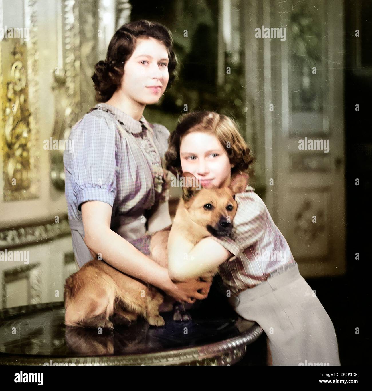 Razas de animales hi-res stock photography and images - Alamy