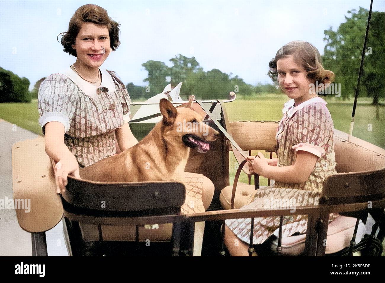 Razas de animales hi-res stock photography and images - Alamy