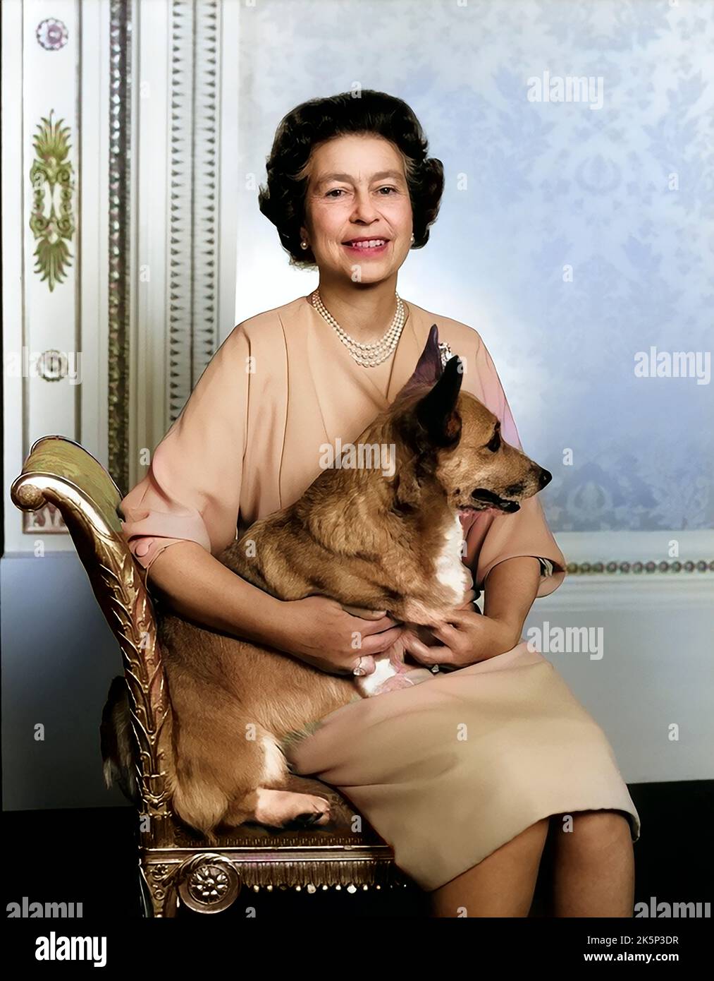 Animales cachorros hi-res stock photography and images - Alamy