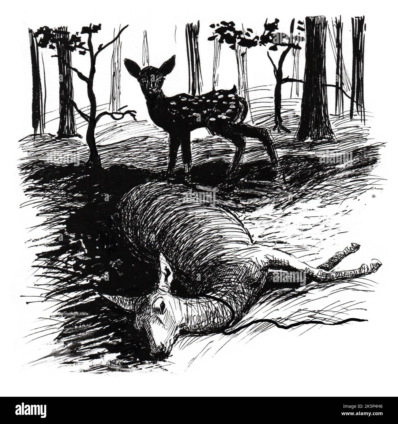 A small roe deer stands over a dead mother , who has fallen into snares ...