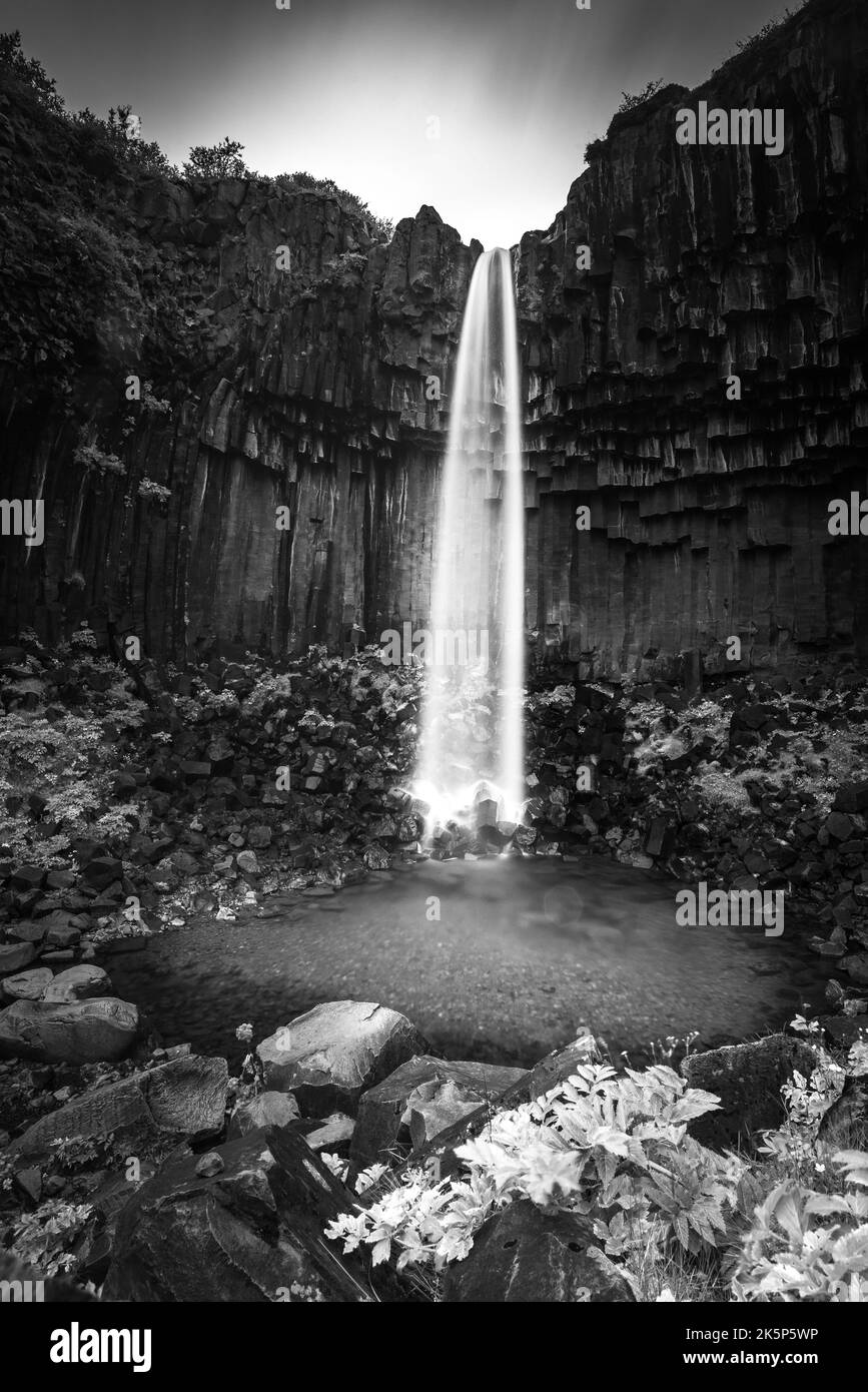 A mesmerizing scenery of a waterfall during the sunset in grayscale ...