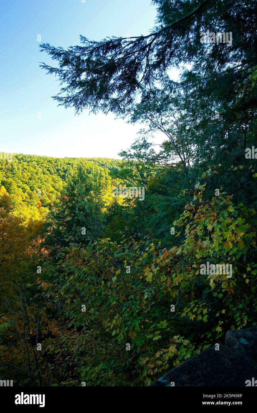 Mohican Gorge Overlook, Mohican State Park, Ohio Stock Photo - Alamy