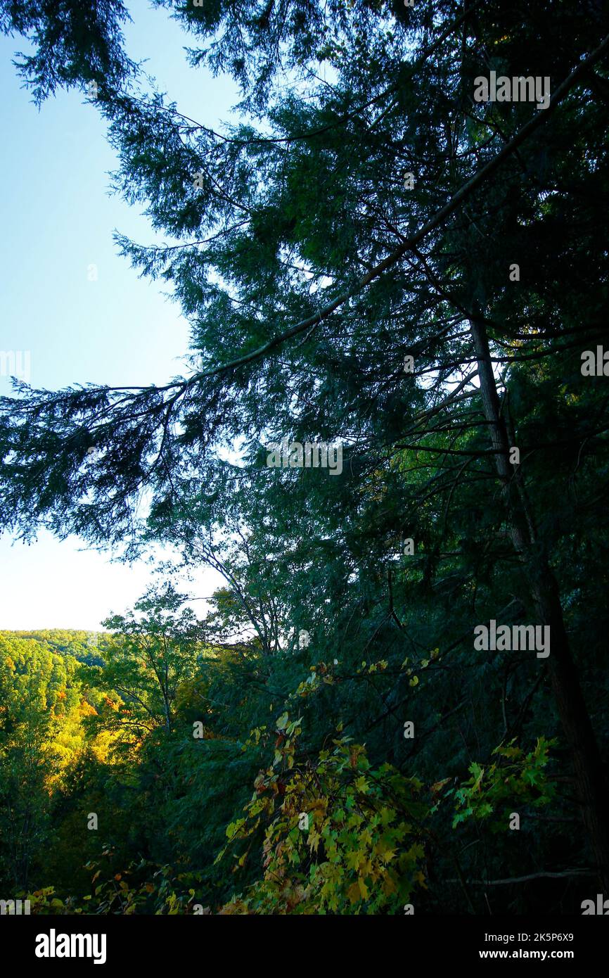 Mohican Gorge Overlook, Mohican State Park, Ohio Stock Photo - Alamy