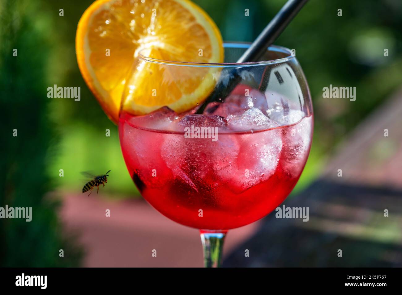 Summer cocktail, red italian alcoholic beverage with ice, sliced orange ...