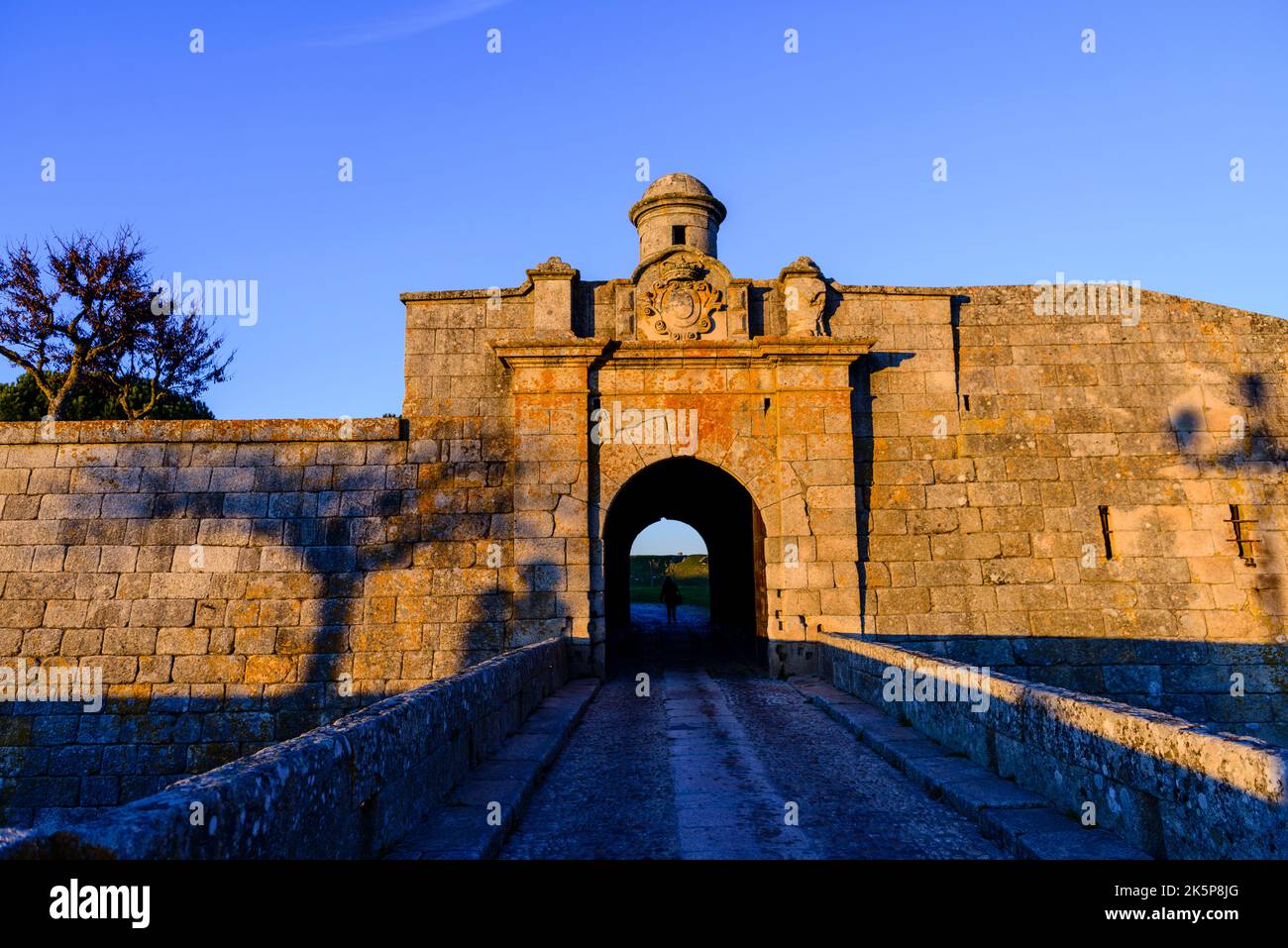 Military historica hi-res stock photography and images - Alamy
