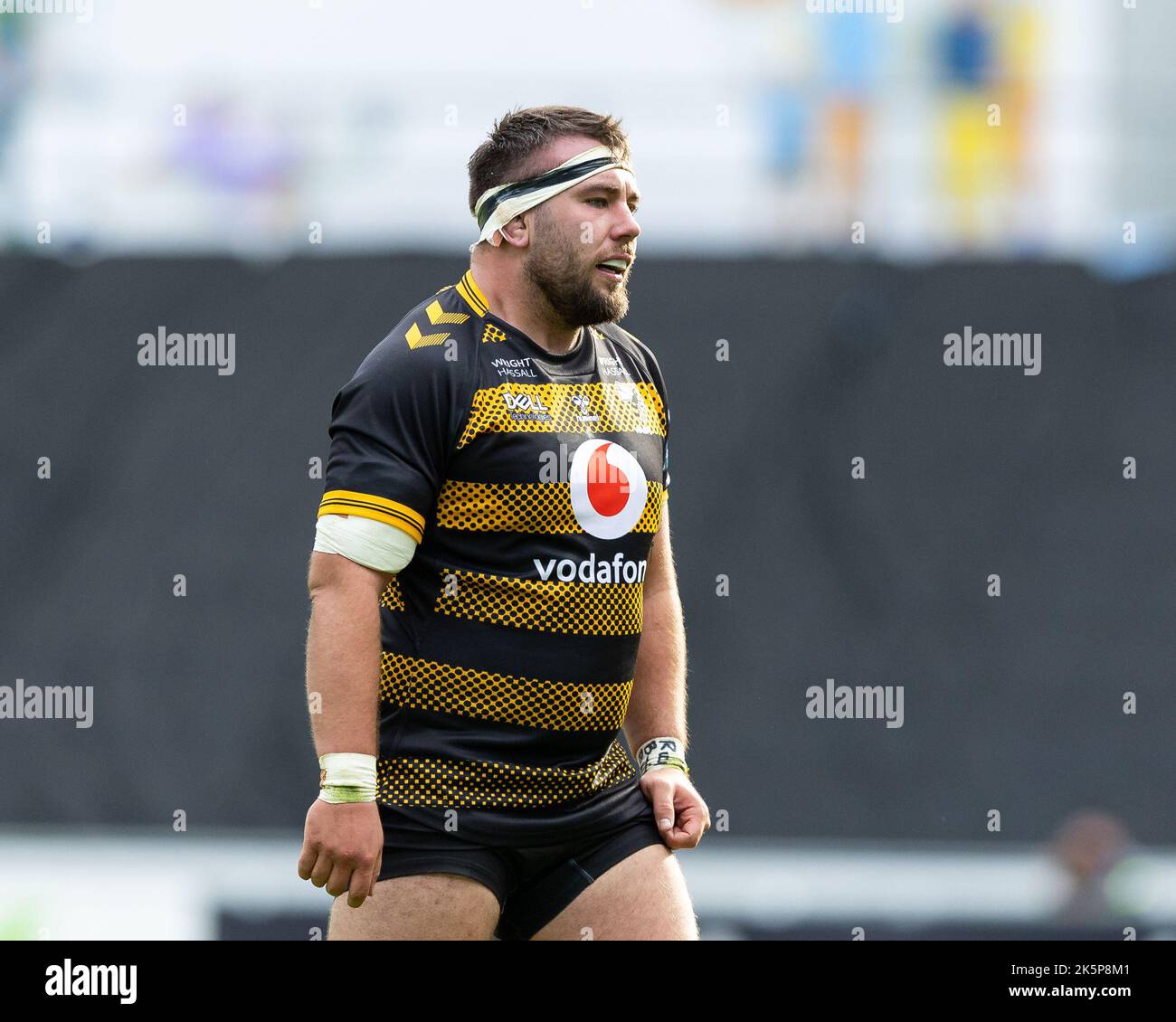 Robin hislop of wasps rugby hi-res stock photography and images - Alamy