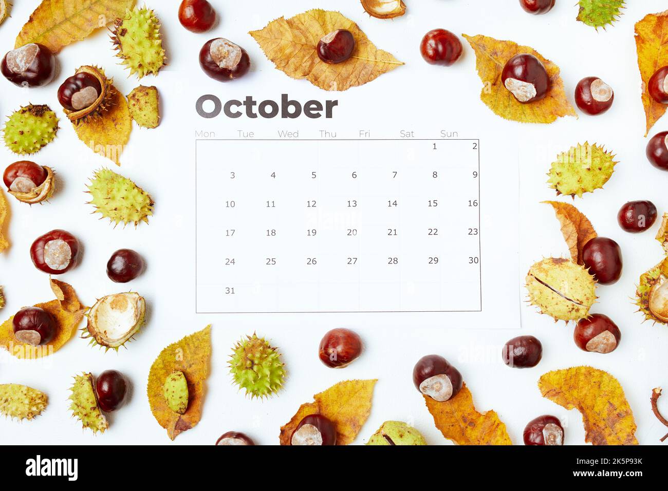 autumn background with autumn leaves, october calendar and chestnut ...