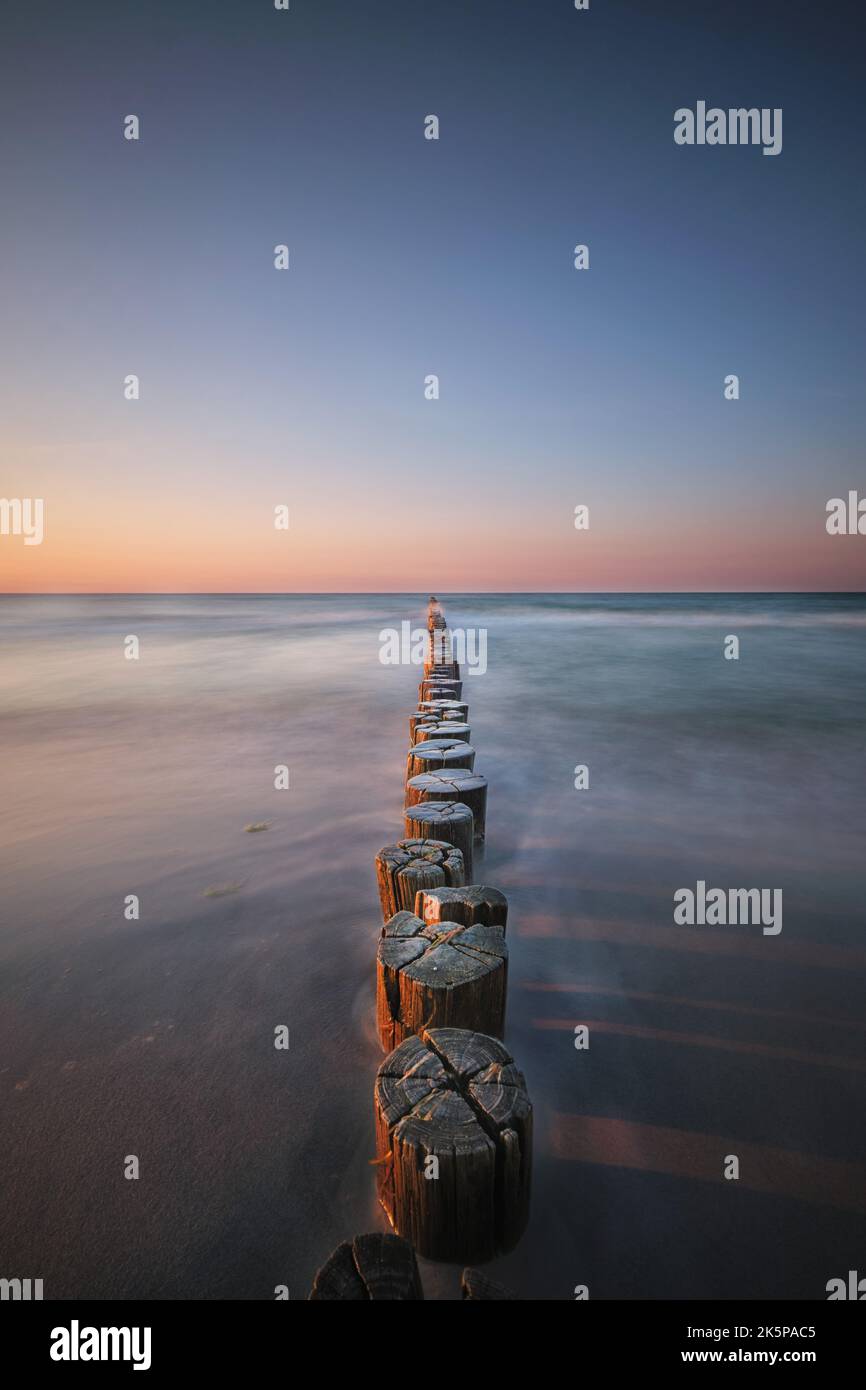 A line of cut tree trunks on a shore of water at sunset Stock Photo - Alamy