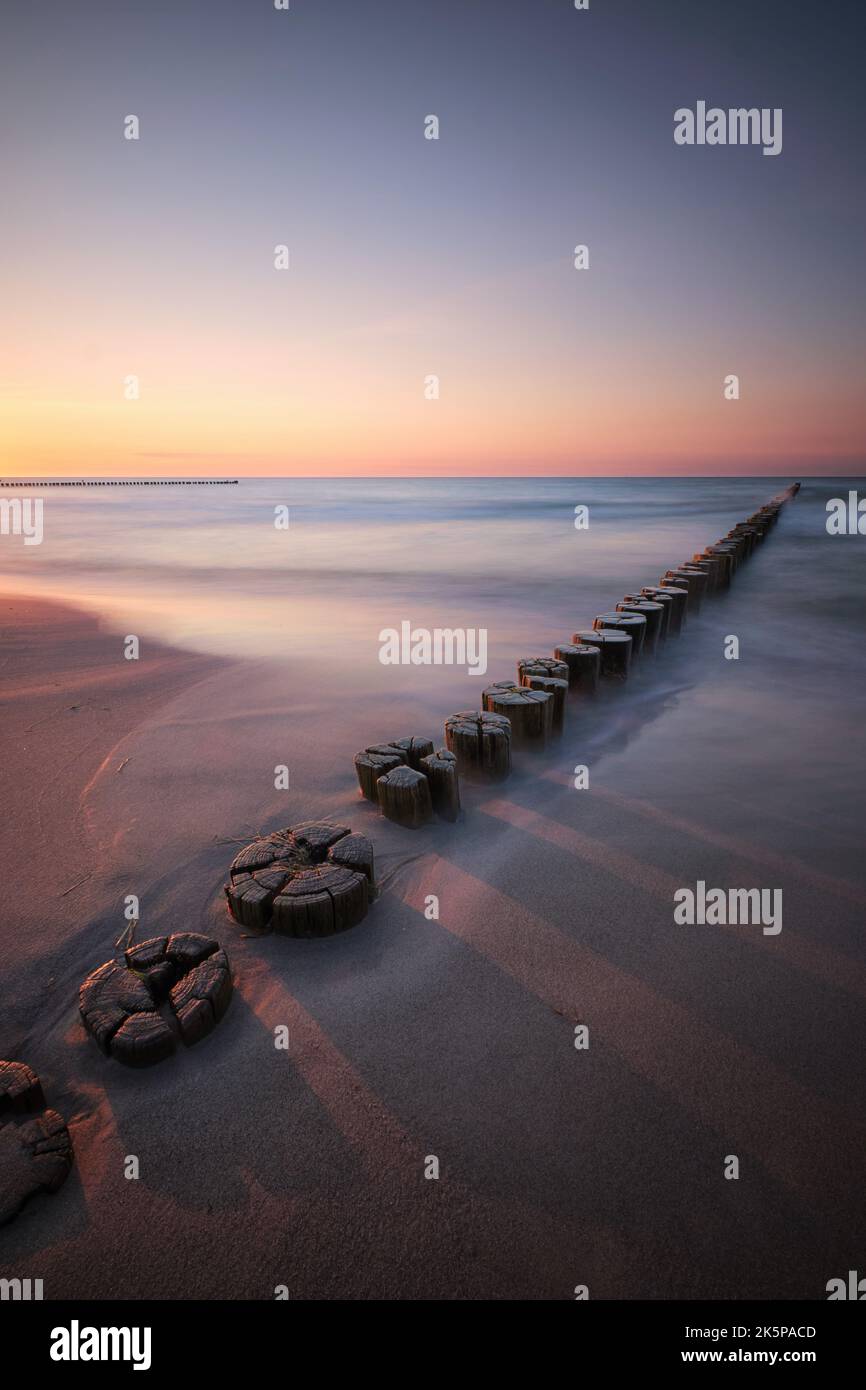 A line of cut tree trunks on a shore of water at sunset Stock Photo - Alamy