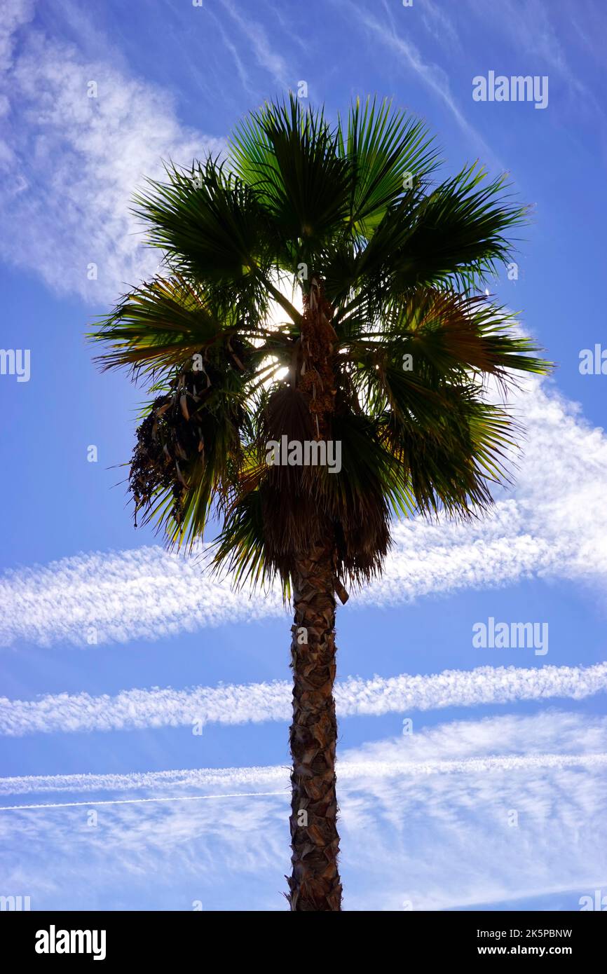 Contrails, vapor trails line-shaped clouds produced by aircraft engine ...