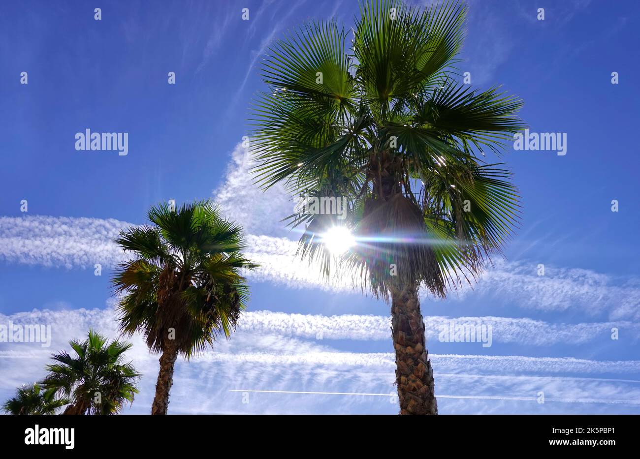 Contrails, vapor trails line-shaped clouds produced by aircraft engine ...