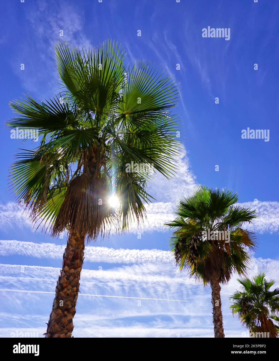 Contrails, vapor trails line-shaped clouds produced by aircraft engine ...