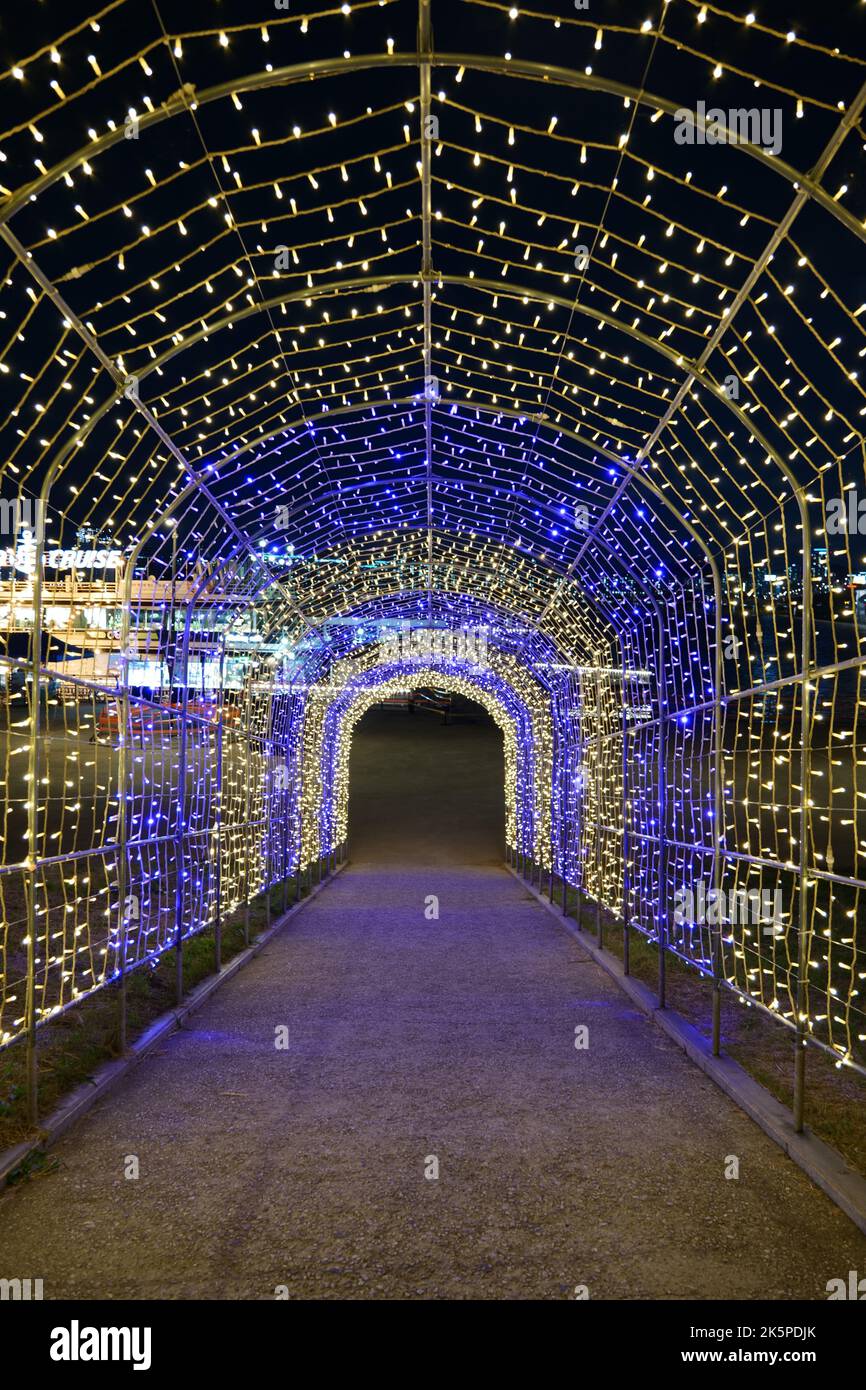Arch photo zone made of night lights Stock Photo - Alamy