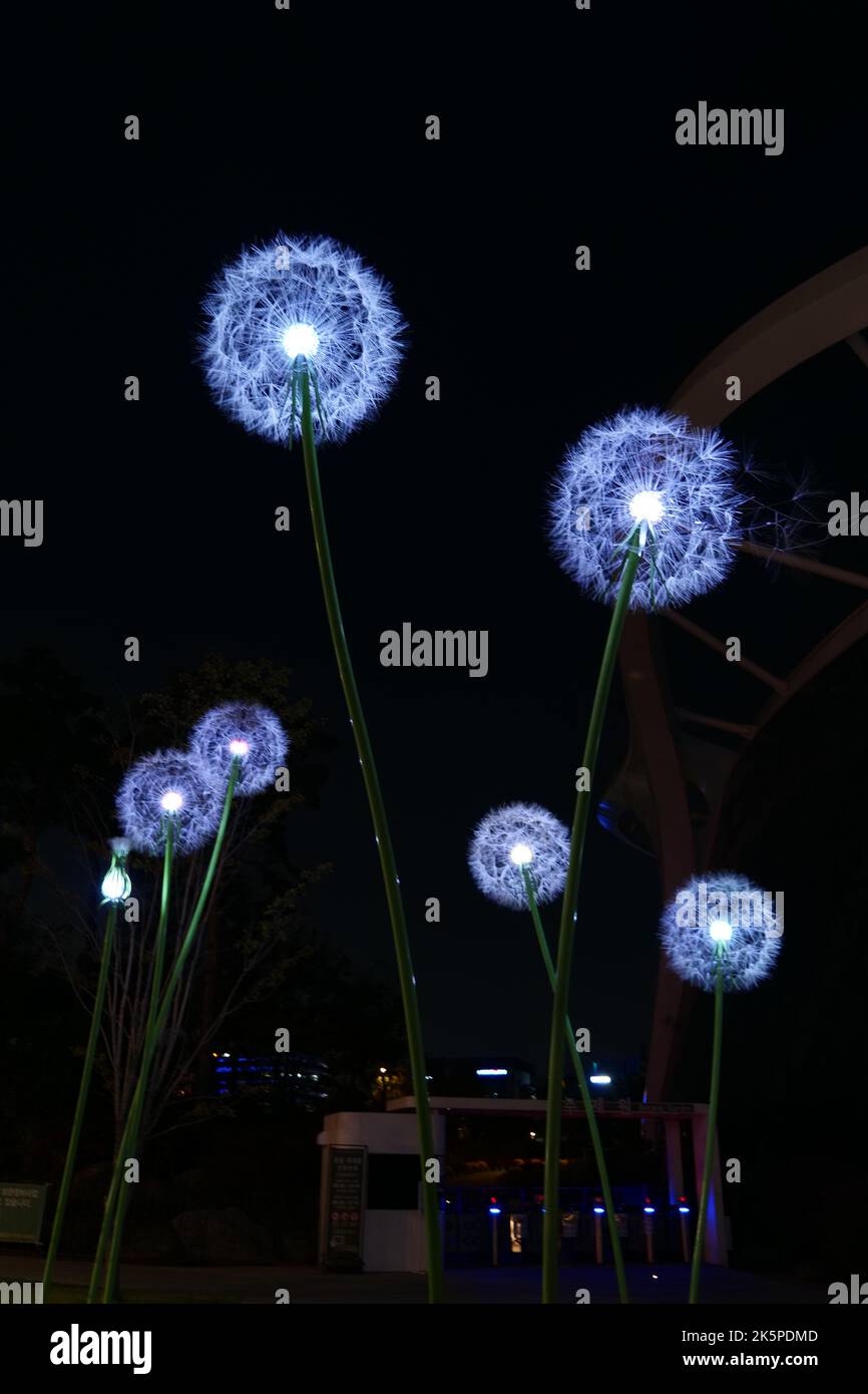 Dandelion lights hi-res stock photography and images - Alamy