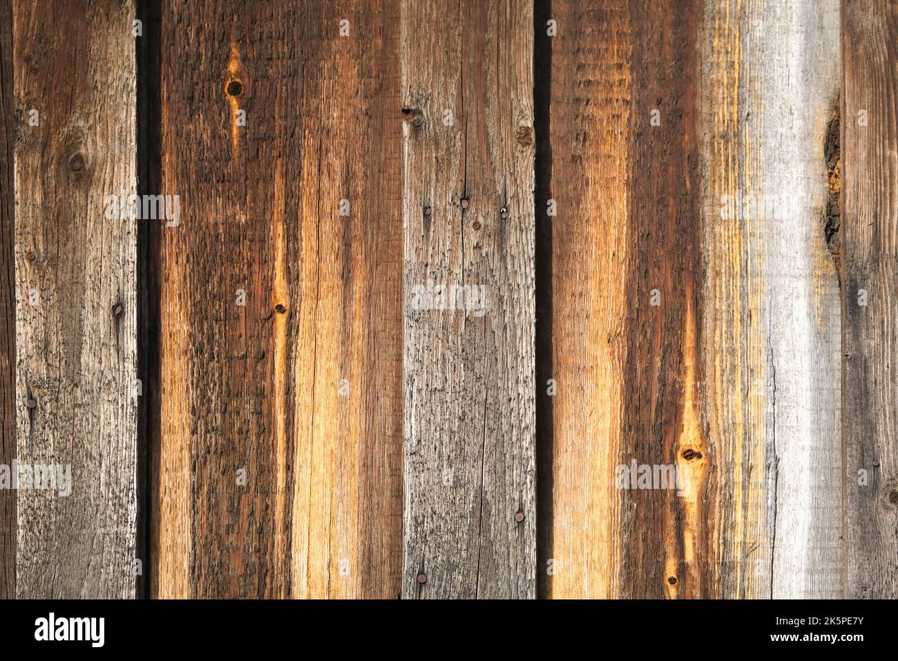 Wooden texture with vertical lines. The texture of wood with knots and ...