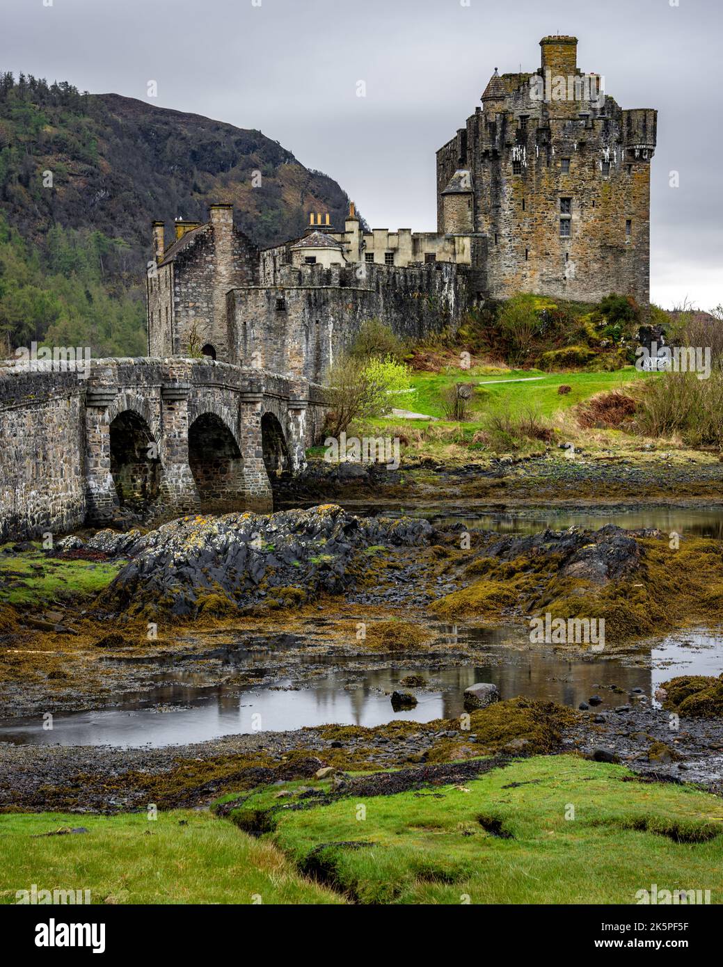 A vertical shot of a bridge and the Eilean Donan Castle in the Western ...