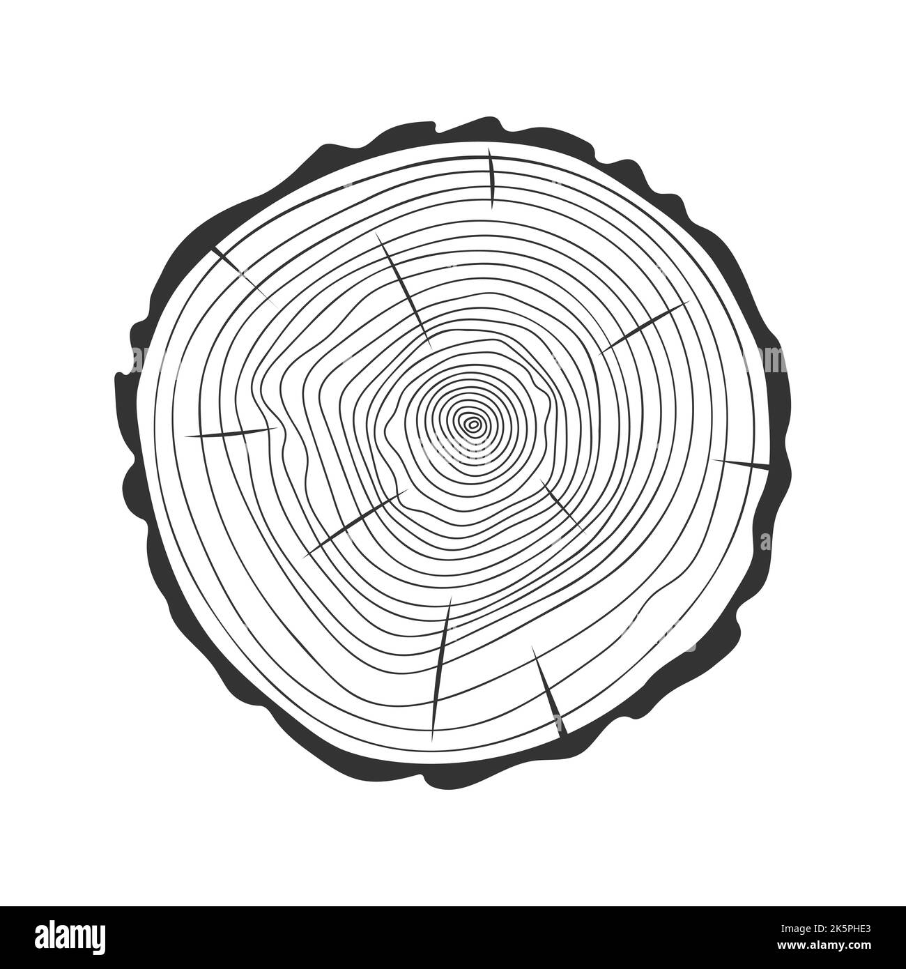 Tree Trunk Rings In Doodle Style Dendrochronology Method To Determine