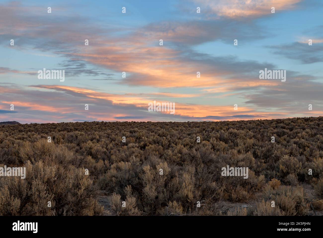 Bitner ranch hi-res stock photography and images - Alamy