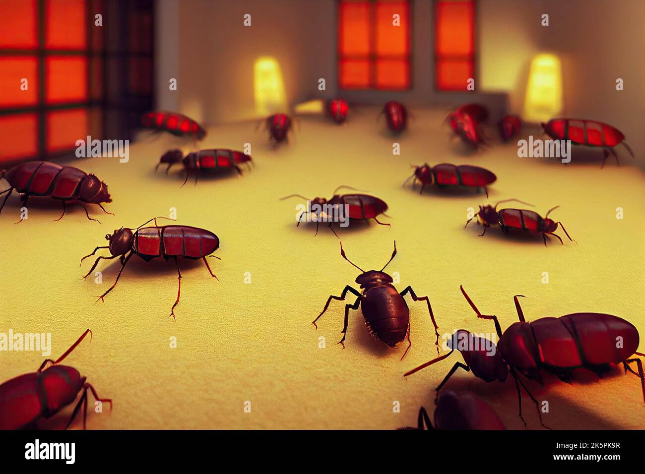 Cockroaches infestation hi-res stock photography and images - Alamy