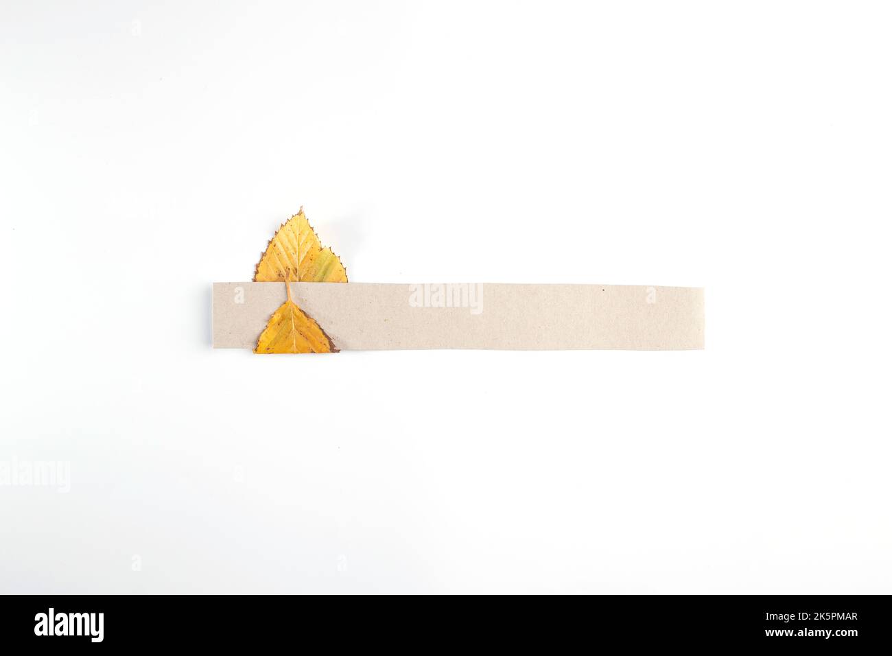 strip of cardboard with yellow autumn leaf Stock Photo - Alamy