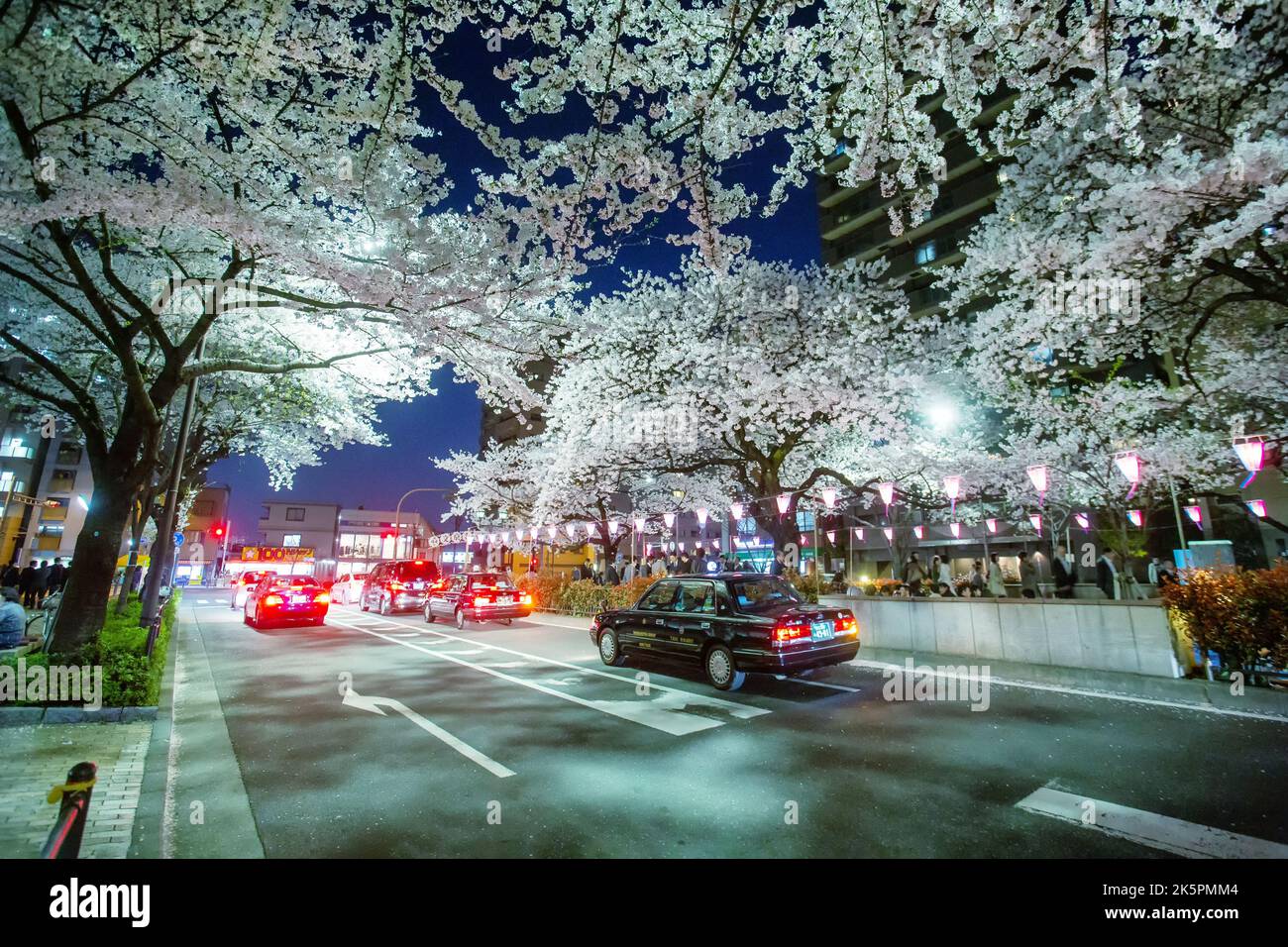 31-03-2015 Tokyo Japan. People under cherry blossom trees in Harimazaka ...