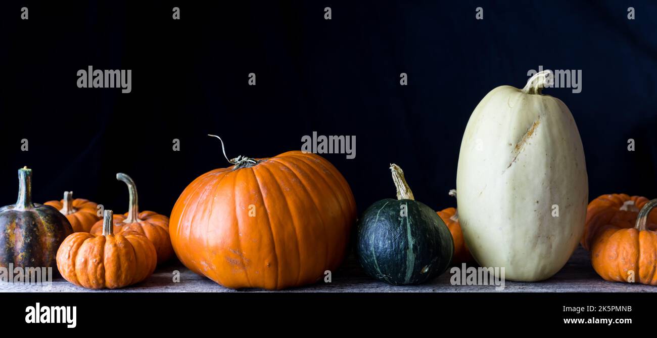 Pumpkins and gourds of assorted shapes and sizes, against a black ...