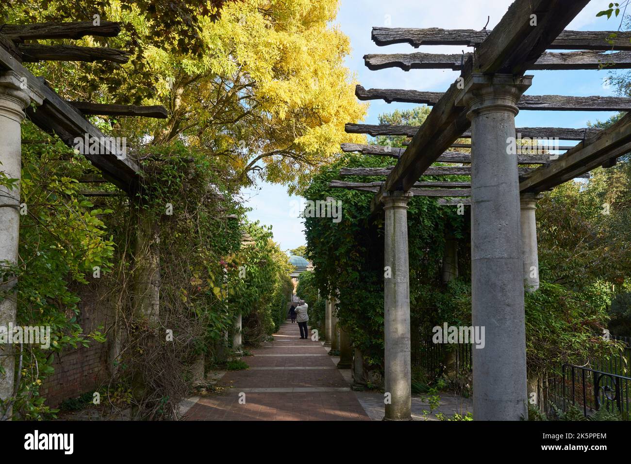 Arbour uk hi-res stock photography and images - Alamy