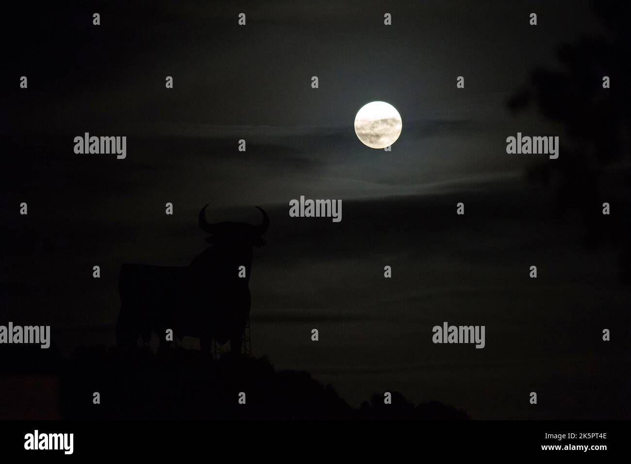 The full moon or 'Hunter's moon' is seen rising over a billboard-size ...