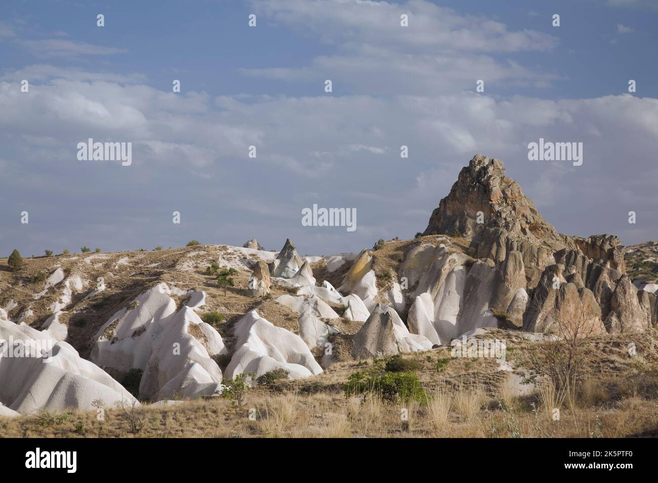 Vegetation growing in field of volcanic ash and eroded tuff rock ...